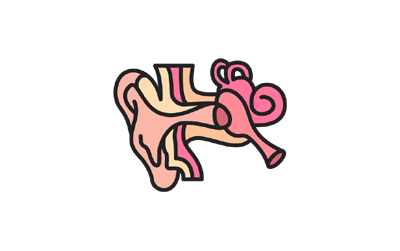 [PPT] Ear PPT Slide (Presentation)